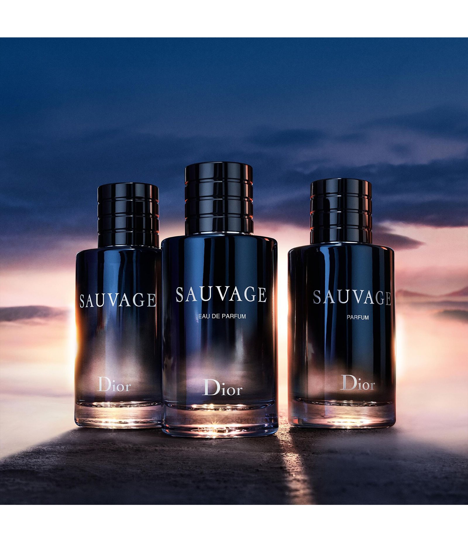 Perfume Dior Sauvage Masculino Eau De Toilette 100ml