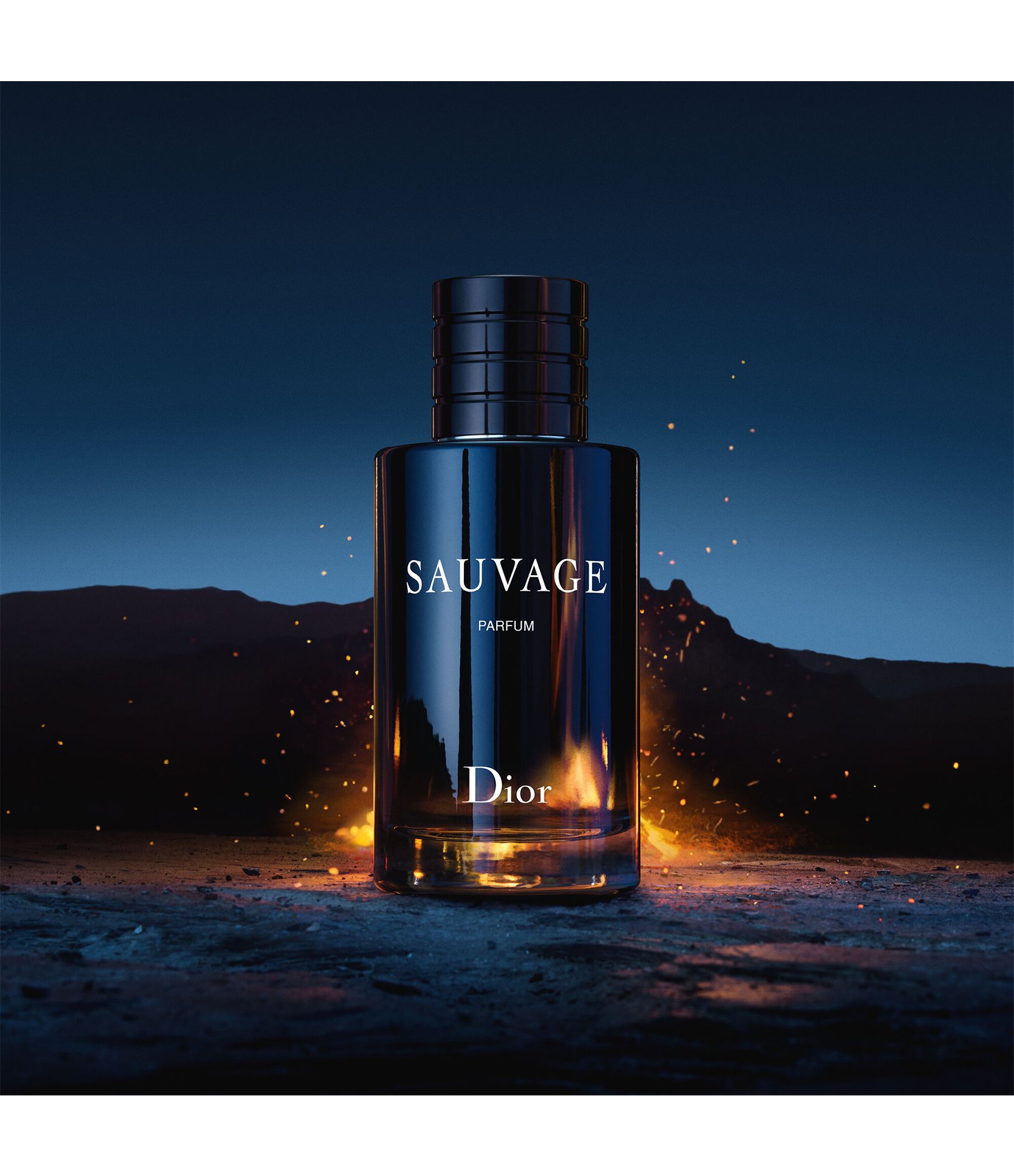 Perfume Dior Sauvage Masculino Parfum 60ml