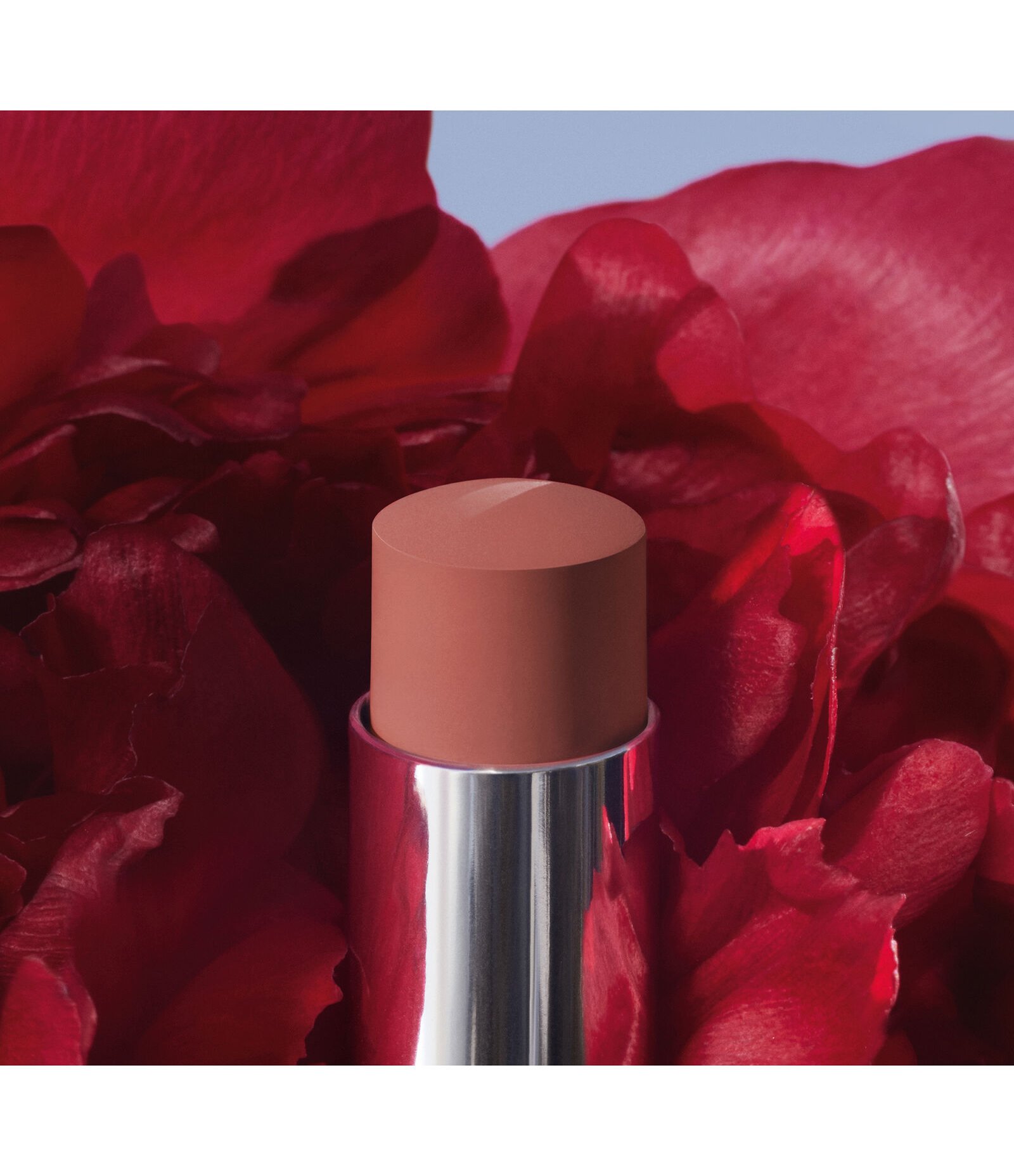 Batom Rouge Dior Forever Stick Dior 505 Forever Sensual