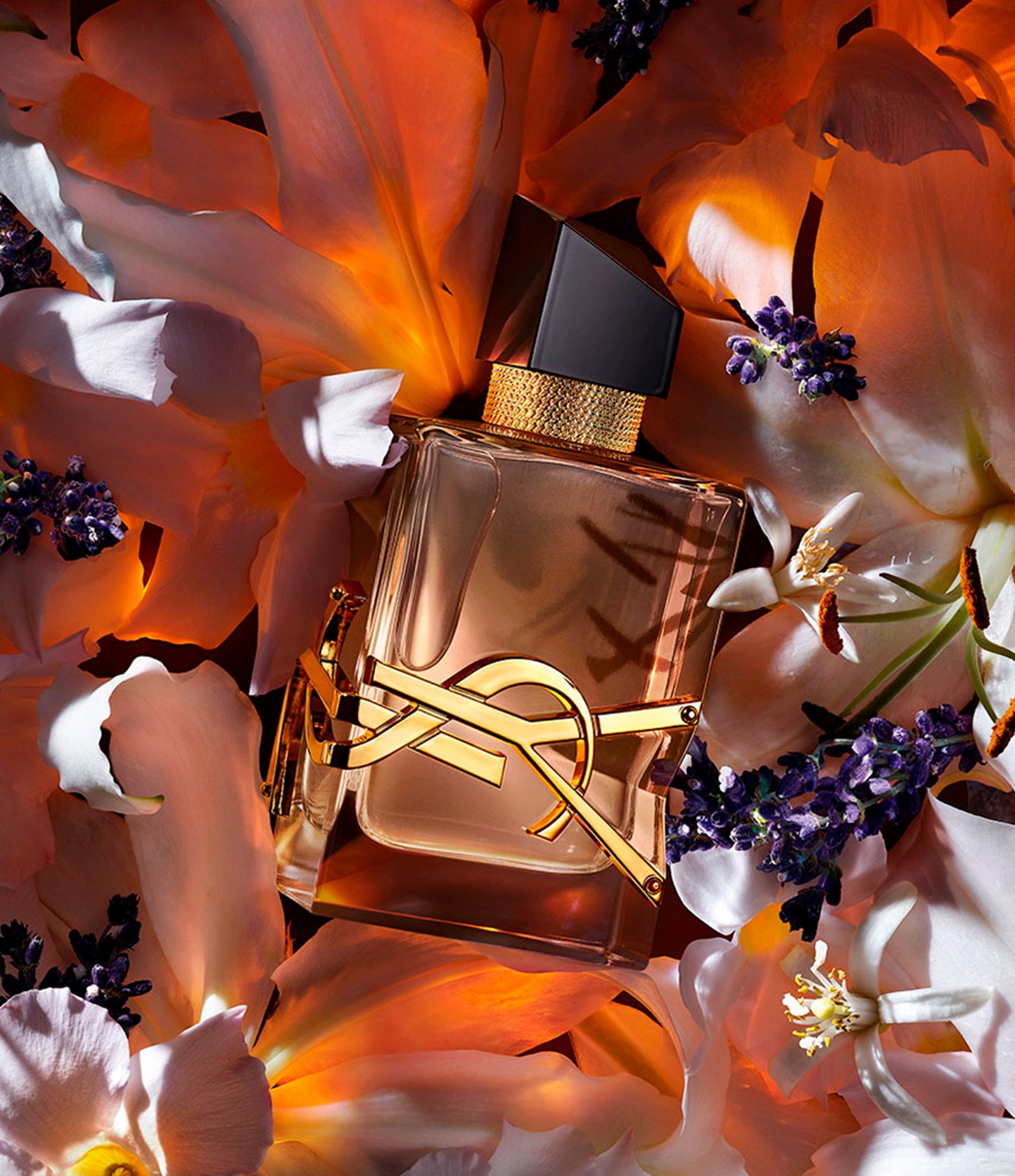 Perfume Yves Saint Laurent Libre Eau de Parfum Florale 30ml